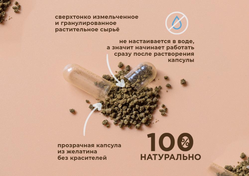 Купить Гриб Рейши в капсулах по низкой цене в «Алтайвита»