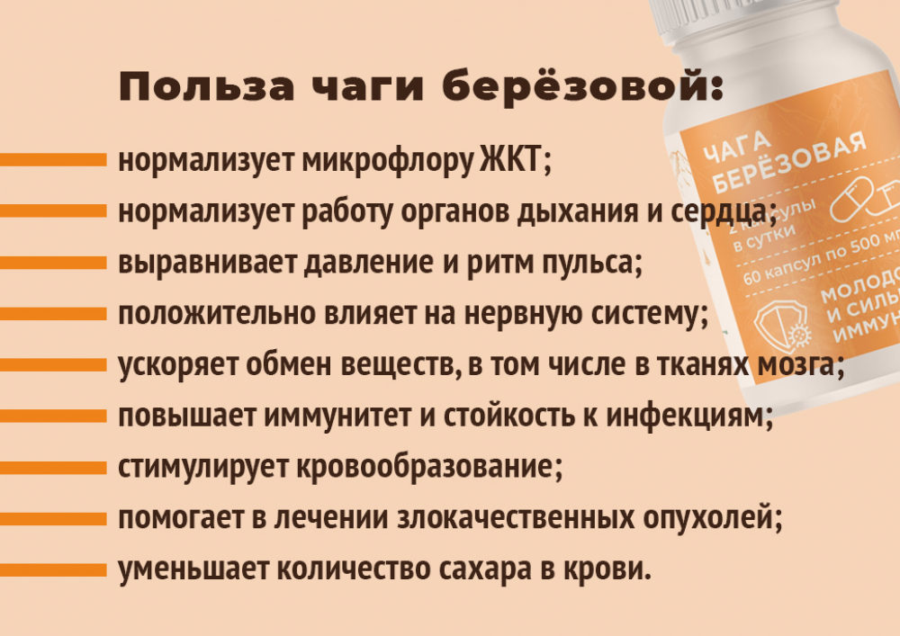 Купить Чагу Берёзовую в капсулах по низкой цене в «Алтайвита»