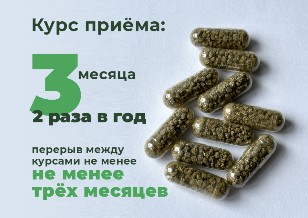 Купить сибирский сильник в капсулах недорого